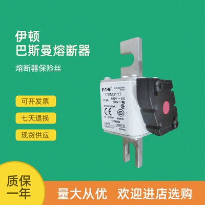 全新快速熔断器保险170M3166 170M3167 170M3168 170M3169