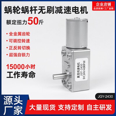 无刷直流减速电机JGY-2430蜗轮蜗杆12v24v微型可调低慢速电动马达