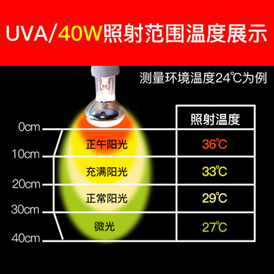 爬行天下UVA加热灯乌龟晒背灯UVA灯加温灯爬宠爬虫灯蜥蜴龟加温