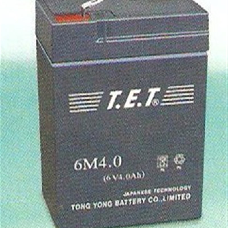 全新TET 6M4.0 6V4.0电子称/应急电源/通信设备用/玩具车专用电池