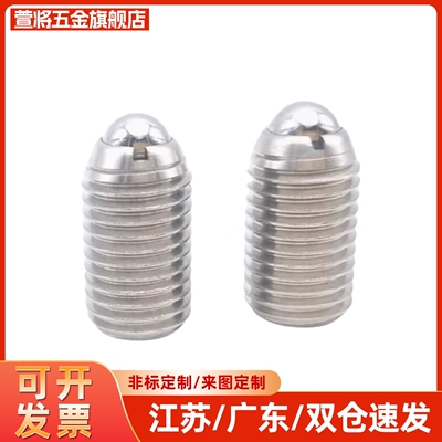 BSML3/4/5/6/8/10/12 BMSL不锈钢加长型轻载型球头柱塞