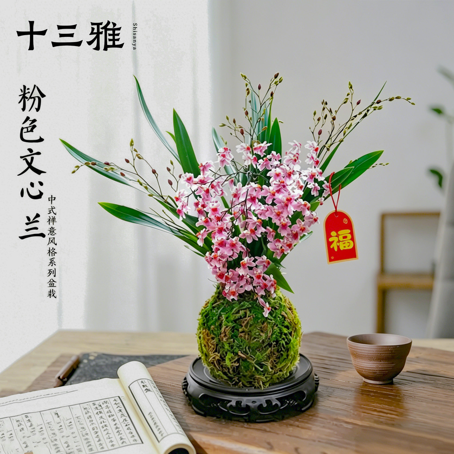 兰花苗香水文心兰梦香冬带花苞浓香年宵花苔藓球懒人盆栽水培植物
