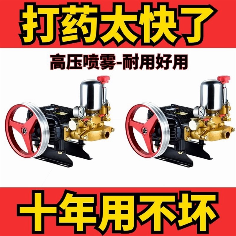 德国进口26/60/90/120/高压打药机三缸柱塞泵喷雾机消毒喷药器园