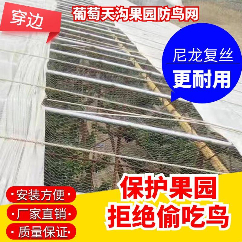 防鸟网果园尼龙网草莓园大棚通风口两侧葡萄种植天沟网种菜防护网