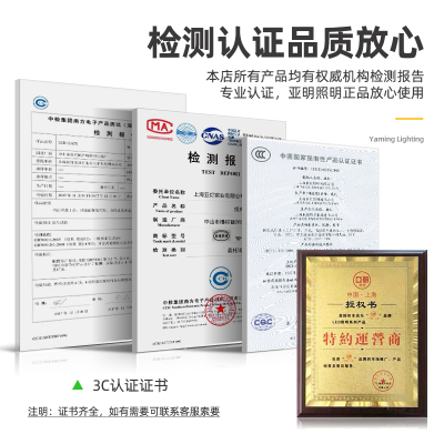 亚明led塔吊灯1000w2000w建筑之星工地照明户外射灯探照投光大灯