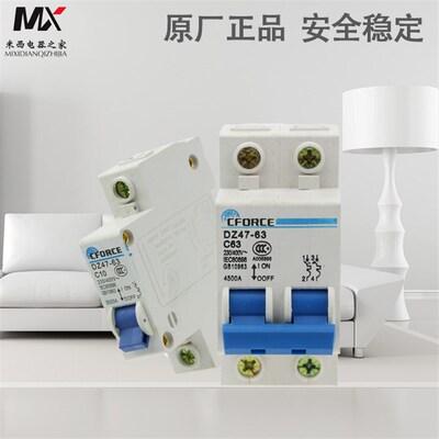 小型断路器C型DZ47 2P 6A10A16A20A25A32A40A60A双极空开