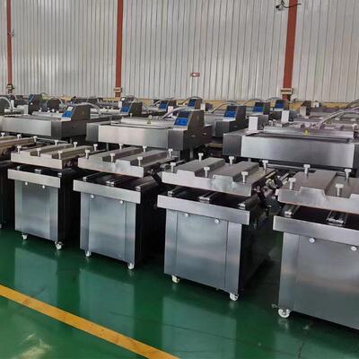 动式牛真空肉锁包装机 宠物食品双室滚摆MVX盖包装机 气调鲜包装