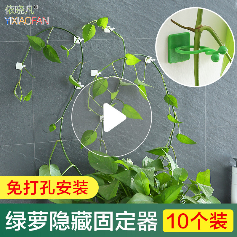 10个绿植固定器绿萝爬墙神器藤蔓攀爬壁挂定型扣家用室内无痕扣钩