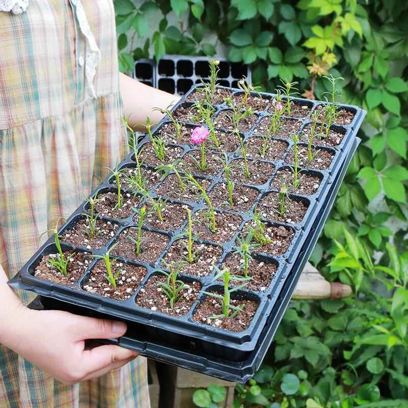育苗盘营养钵穴盘塑料杯种植神器育苗专用杯蔬菜育种农用育苗托盘