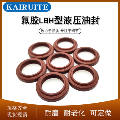 氟胶LBH40/45/48/50/53/55*48/53/56/58/61/63*6.5   液压防尘圈