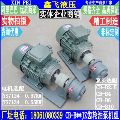 WBZ-CB-B2.5 wbz2-B4 B6 B10JZ卧式齿轮油泵电机组装置TH FTH