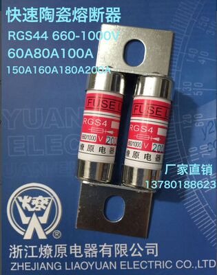 RGS44 (75A-200A)燎原电器 快速熔断器