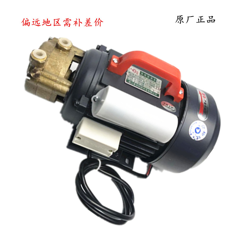 蒸汽发生器配件家用奥龙旋涡泵550W锅炉补水泵750W高压水泵多级泵