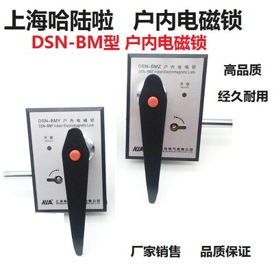 哈陆拉户内高压电磁锁DSN-BMY成套柜手柄式开关门DSN-BMZ 220V