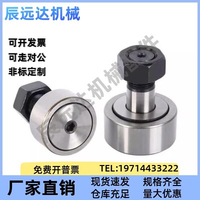 BTL BTLP-D10 12 13 16 19 22 26 30 上隆型高品质凸轮轴承随动器