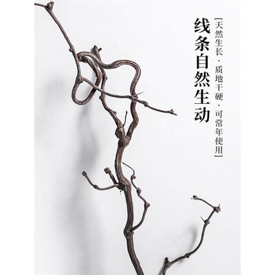 干支花艺a龙枣干 干燥树枝树枝树干装饰天然弯曲龙爪插枝