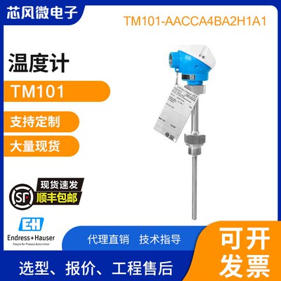 TM101-AACCA4BA2H1A1 (TM101-83D0/142) E+H 温度计 TM101