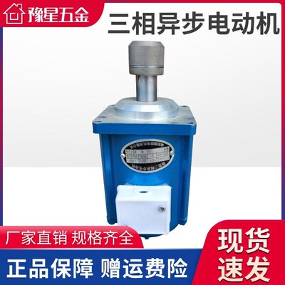 微型三相异步电动机  YWZ液压推动器电机/液压制动器电机