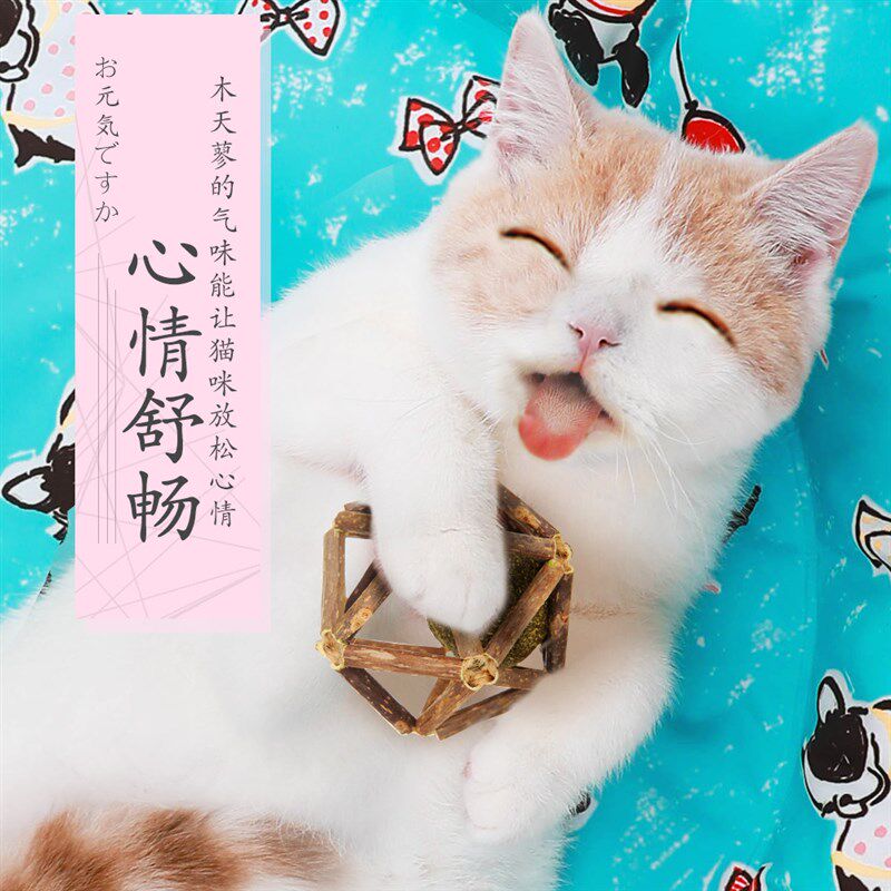 猫玩具自嗨猫薄荷球解闷神器逗猫棒耐咬木天蓼幼猫用品猫咪磨牙棒