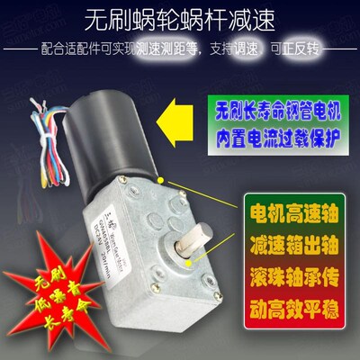 GW4058BL  直流6V12V24V永磁无刷蜗轮蜗杆减速 耐用马达 直角电机