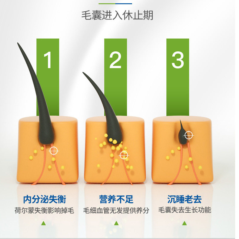 灰泰迪专用卵磷脂狗狗毛发幼犬鱼油爆毛粉海藻粉宠物软磷脂靓毛