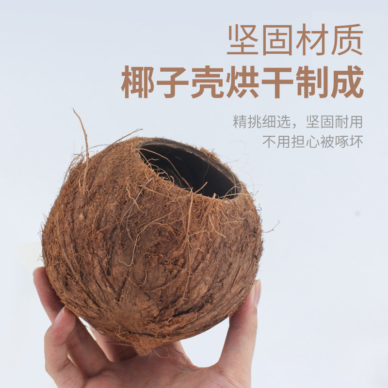 椰子壳鸟窝活鸟繁殖箱虎皮牡丹鹦鹉珍珠文鸟巢挂窝小鸟笼配件大全