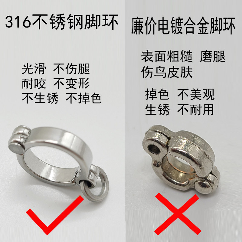 鹦鹉不锈钢脚环脚链防脱扣栓鸟用超轻放飞绳链子虎皮牡丹玄凤用品