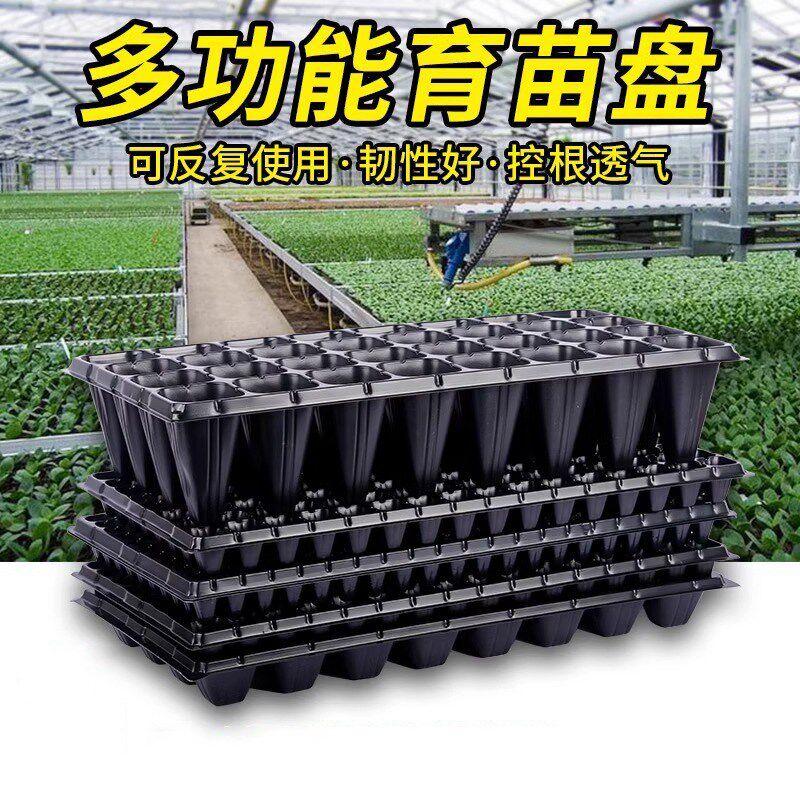 育苗盘穴盘塑料杯种植神器育苗盆营养钵蔬菜育种扦插农用育苗托盘