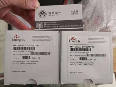 英特格EntegrisCTFG0STPE过滤器