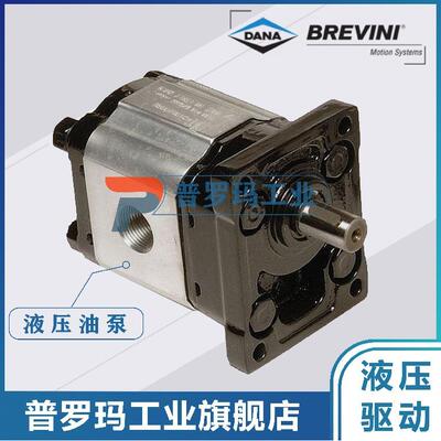 BRTVINI齿轮油泵OT100P20S/G13B0 G14B0 G214B0 R11S1 G11S1 D 58