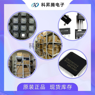 DV243003 MPLAB Starter Kit 存储器 IC 开发工具 原装