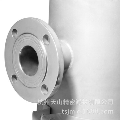 直销SUS316L不锈钢Y袋式过滤器