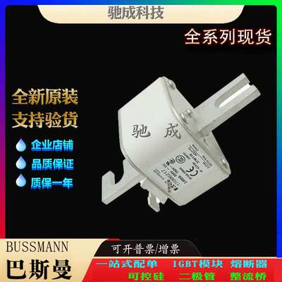 巴斯曼170M6216 170M6217 170M6218 加工制作价格优惠 原装熔断器