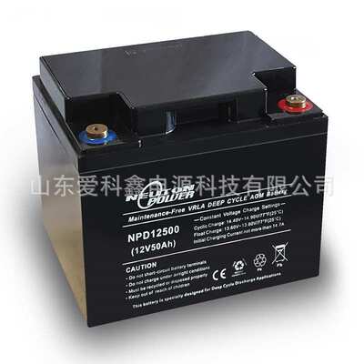 NEUTON POWER蓄电池 NPD12500 12V50AH 机房通信船舶直流屏电池