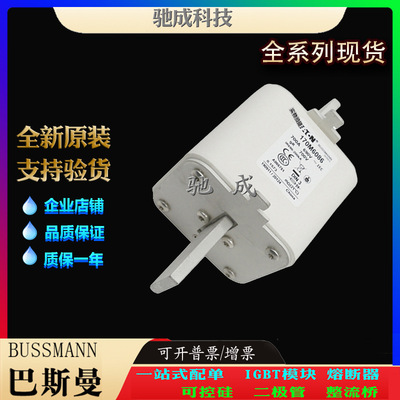 巴斯曼原装熔断器现货批发