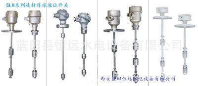 可调整液位开关SLH系列多型号
