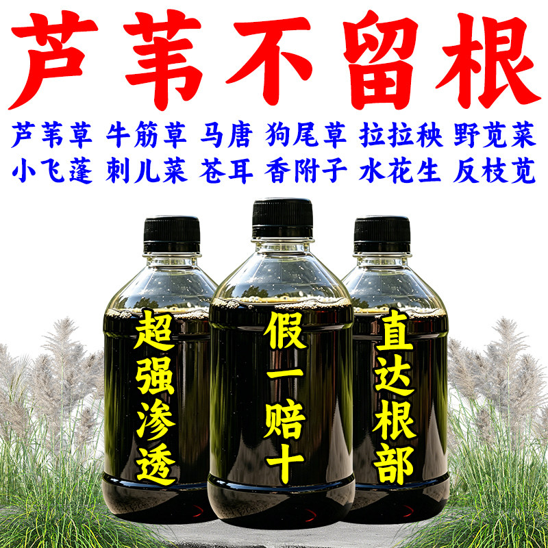 开荒芦苇渗透剂茅草专打芦苇快速干枯土壤保湿剂连根清根烂草枯