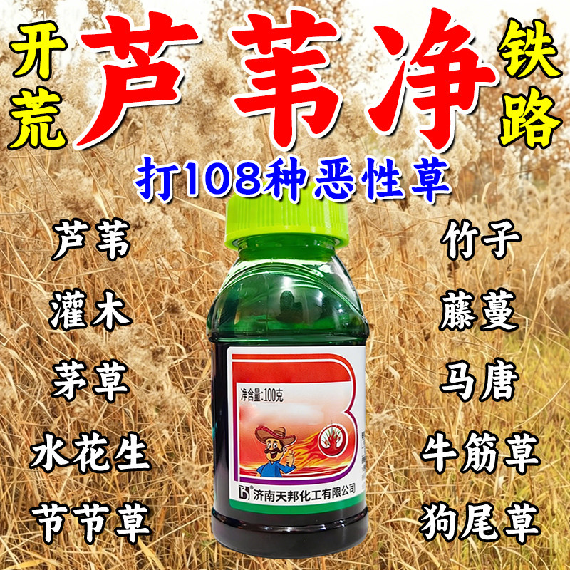 正品芦苇渗透剂茅草专打芦苇快速干枯连根清根烂草枯土壤保湿剂