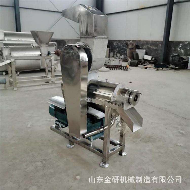 大型工业波罗榨汁设备 螺旋压榨输送一体机 不锈钢破碎榨汁机