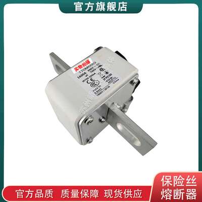 170M6600 6629 6652 6653 6681 巴斯曼bussmann快速熔断器保险丝