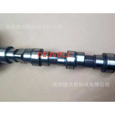 TCD2013 L06 4V 柴油发动机凸轮轴04909276