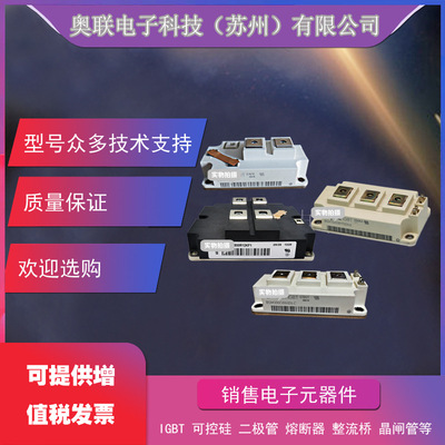 PC33UD69V700A K300251 PC33UD69V800A L300252法国Ferraz熔断器