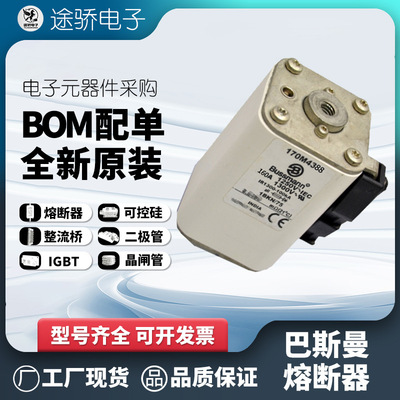 伊顿巴斯曼170M4388-4391熔断器