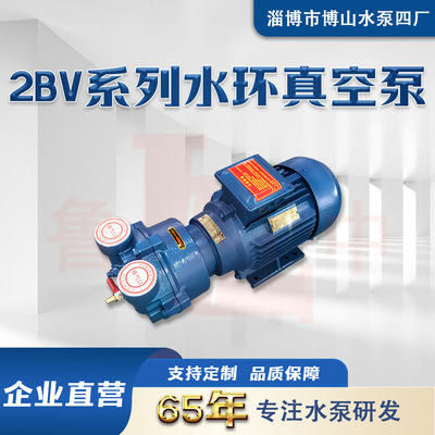 2BV6121型水环式真空泵带托架不锈钢真空泵厂家直供不锈钢材质