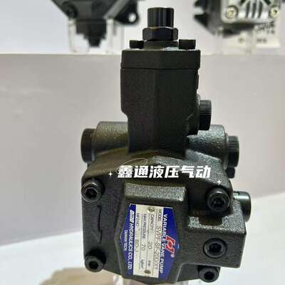 OMO可变叶片泵SVPF-12-70-B-20 SVPF-12/20 SVPF-30/40 SVPC12/20