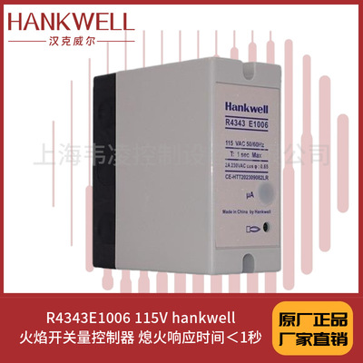 R4343E1006 115V hankwell火焰开关量控制器 熄火响应时间＜1秒