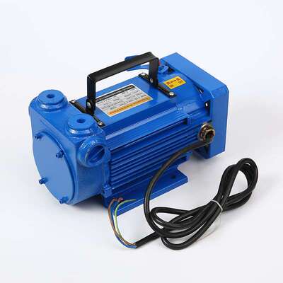 汽油泵 防爆油泵 生物柴油油泵 AC Ex220V -Proof Transfer Pump