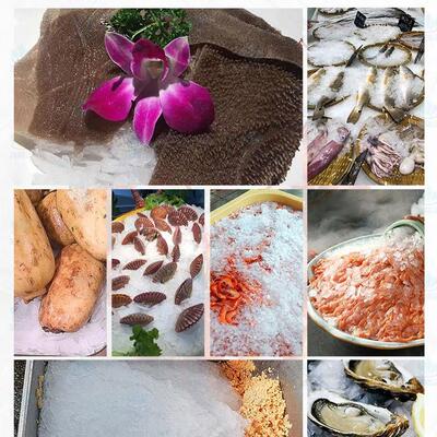 全自动大商型用冷式片冰机日产运量风1吨食775品加工海鲜输