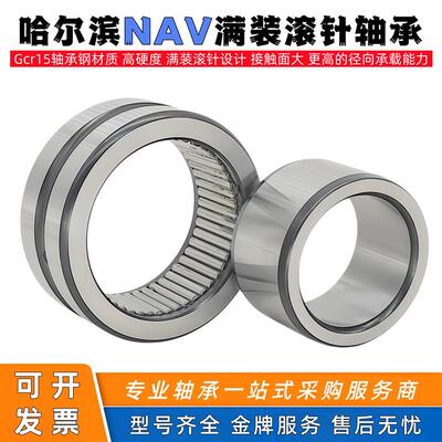 NAV滚针轴承4074103 04 05 06 07 08 09 10 11 12 13 14 15 16 17