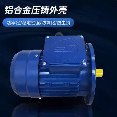 意大利marellimotor刹车马达 marellimotori电机 MAA80L4/0.75KW